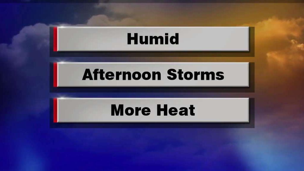 Today's midday weather forecast