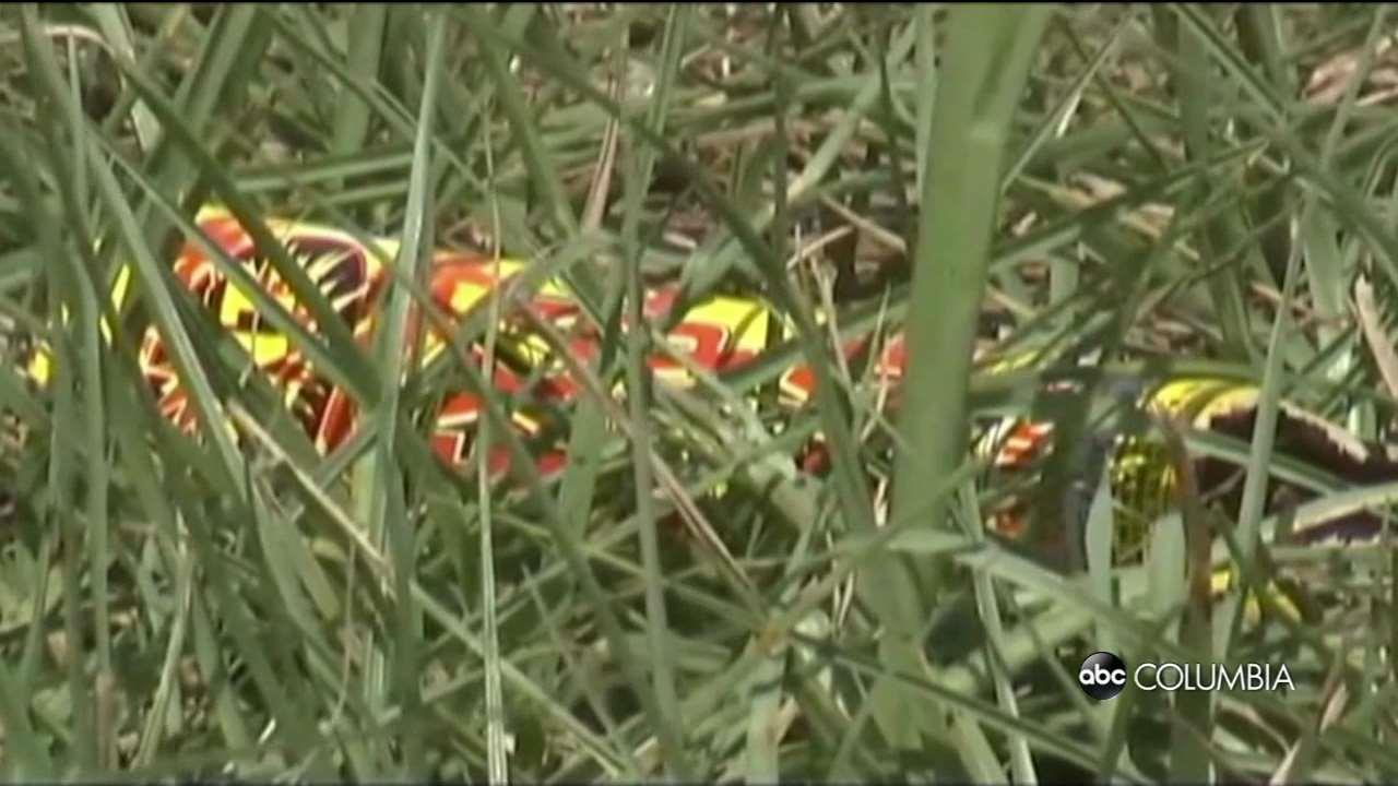 One dead, one injured as a result of annual 'firework war' - ABC Columbia