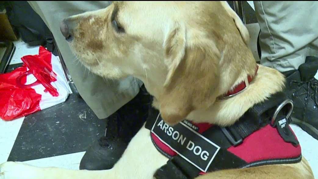 Firefighters summit introduced fire fighting technology, arson dogs ...
