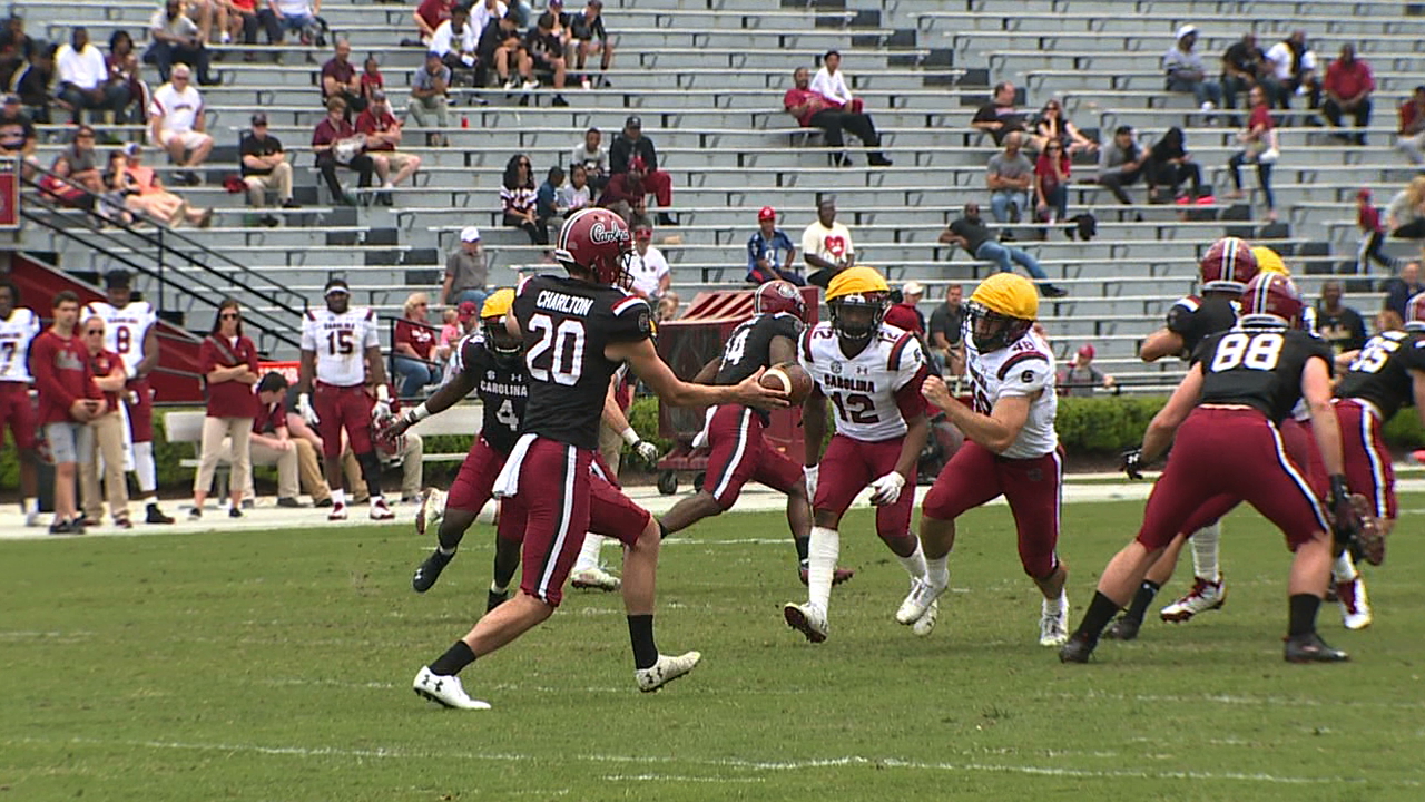 Charlton named to 2019 Ray Guy preseason watch list - ABC Columbia