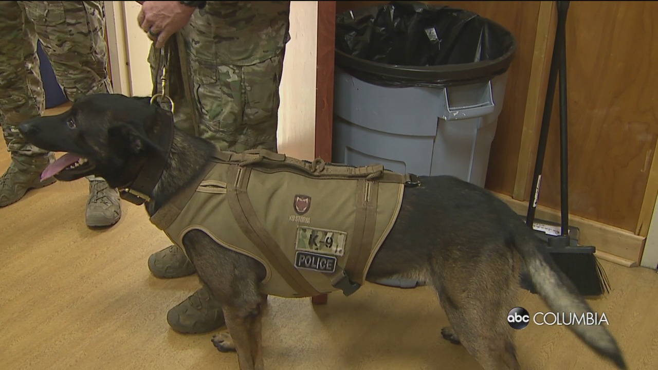 SLED K-9 gets a donation from brothers in arms - ABC Columbia