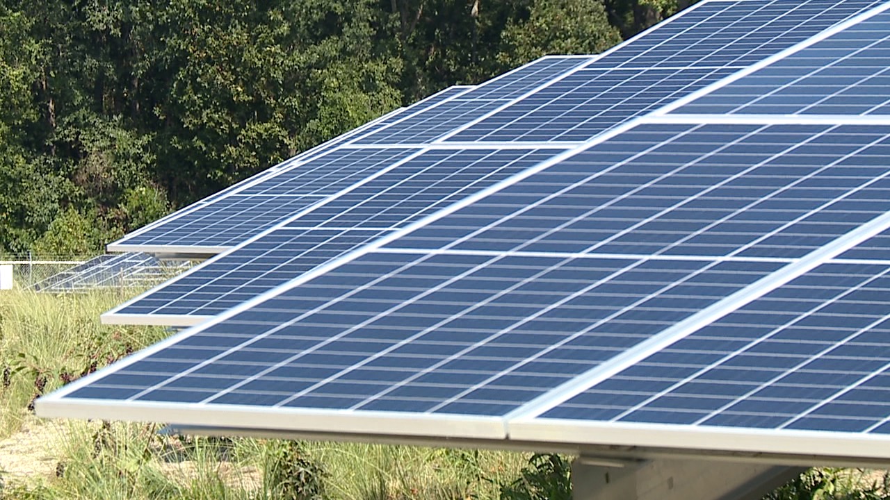 Solar farms show resilience during hurricanes, severe weather