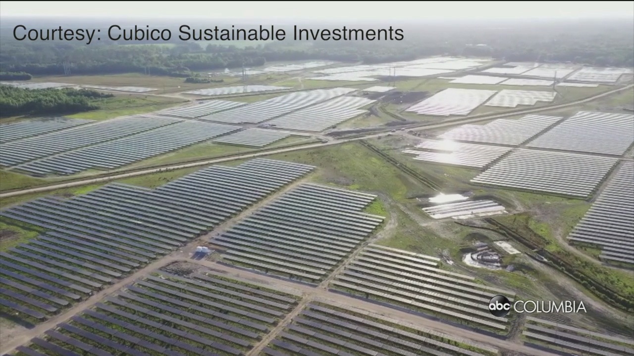 Largest SC solar power plant sets up shop in Orangeburg County