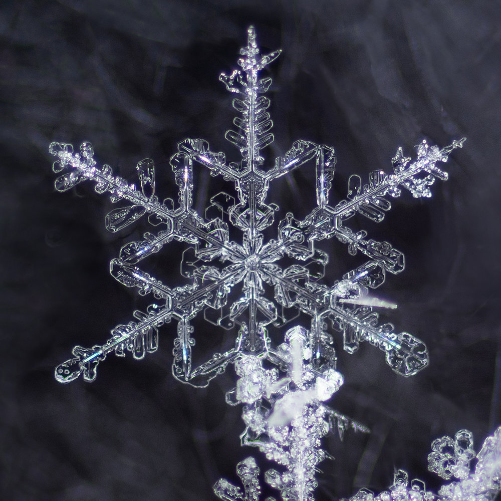The Science Behind Snowflakes - ABC Columbia
