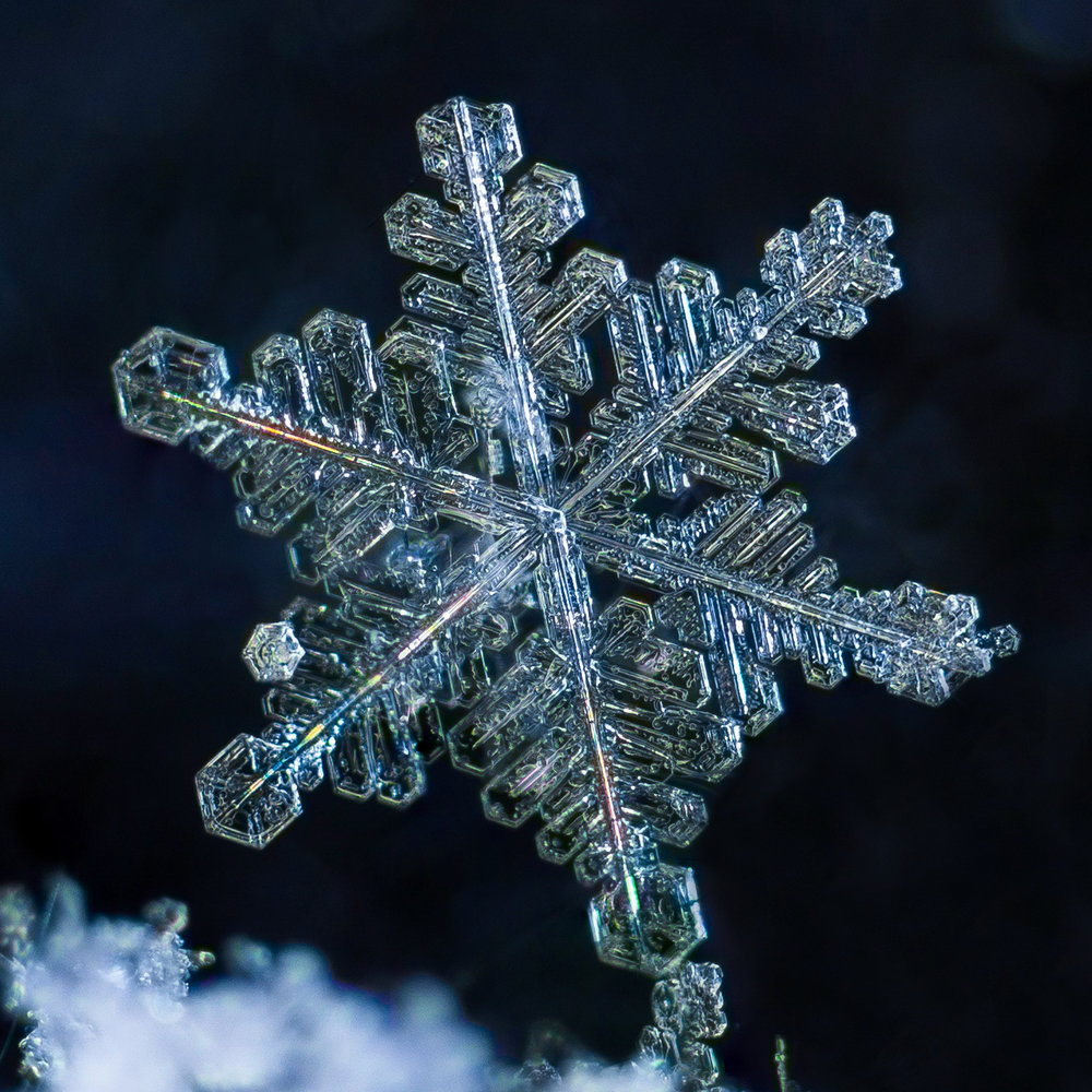The Science Behind Snowflakes - ABC Columbia
