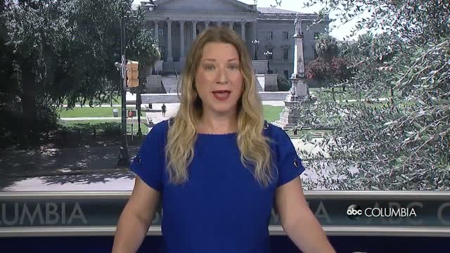 BRAIN RESEARCH - ABC Columbia