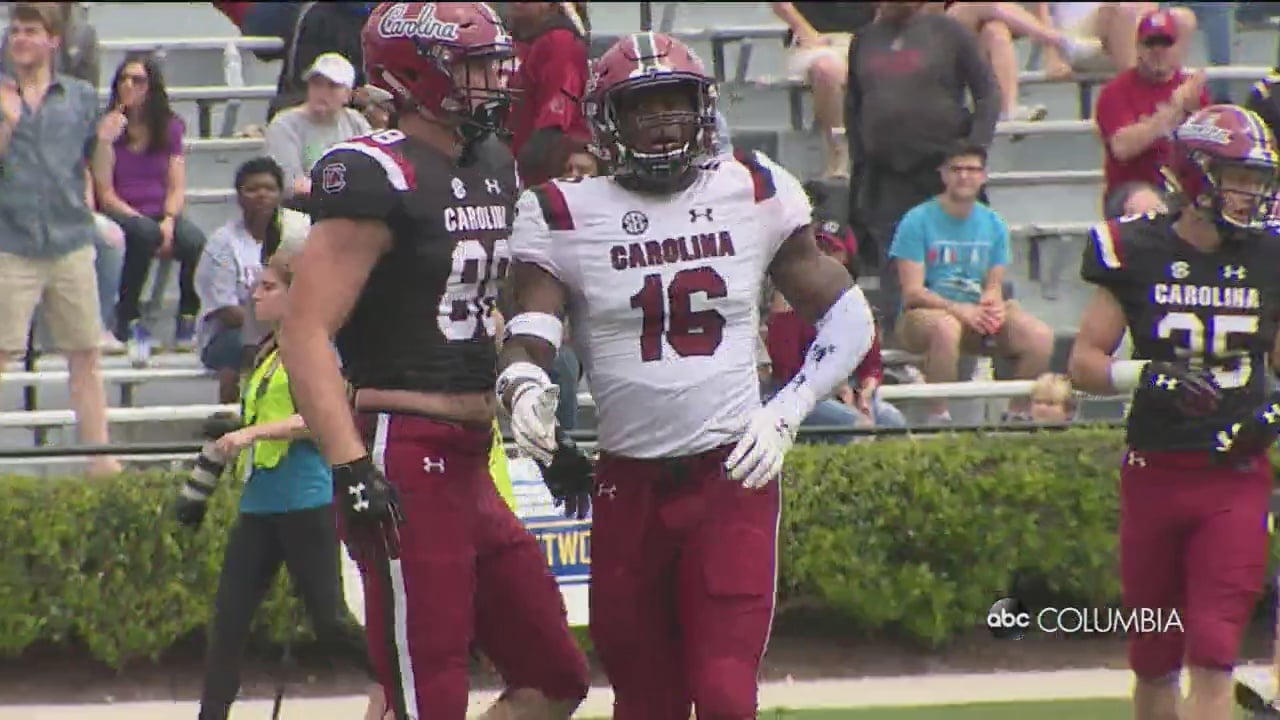 Chapin grad excited about role in new USC offense - ABC Columbia