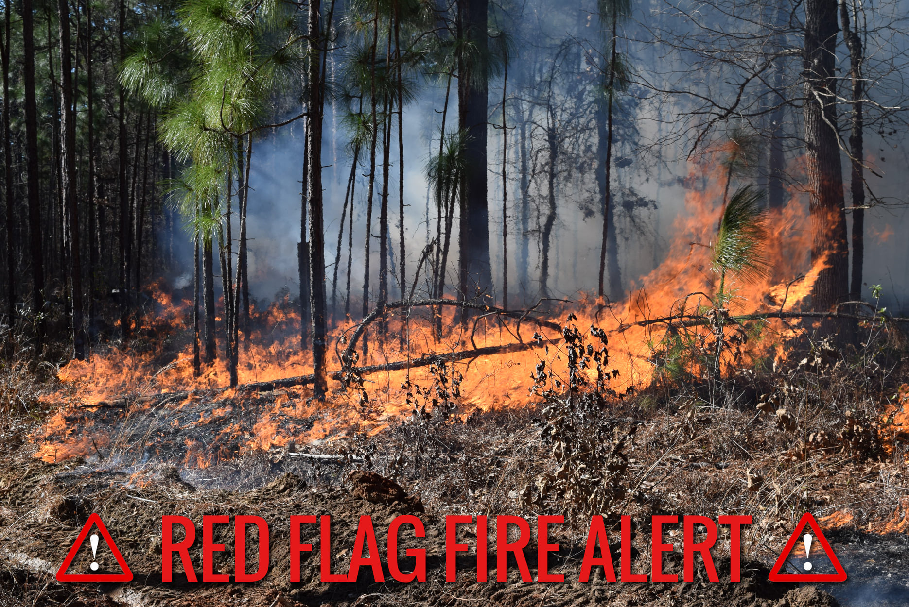 SC Forestry Commission issues statewide Red Flag Fire Alert