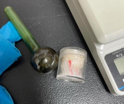 K9 Nala Bust 3 - ABC Columbia