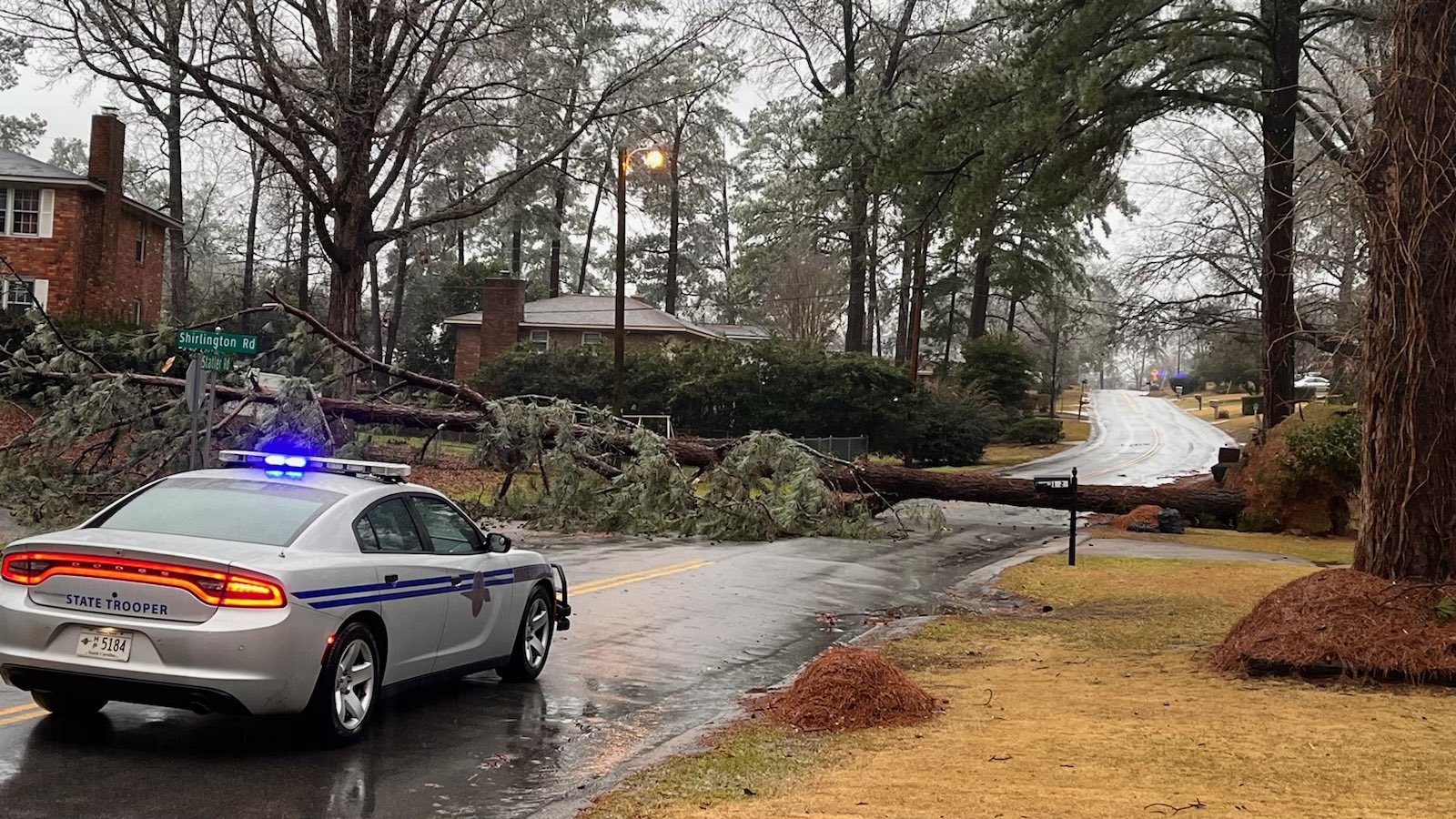 Police responding to downed tree in Richland County - ABC Columbia