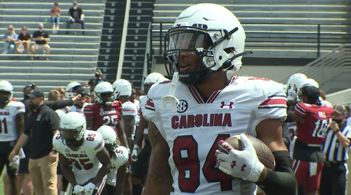 Gamecocks Lose Sophomore Wide Receiver To Transfer Portal Abc Columbia