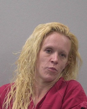 ROGERS, LAUREN CHRISTA - ABC Columbia