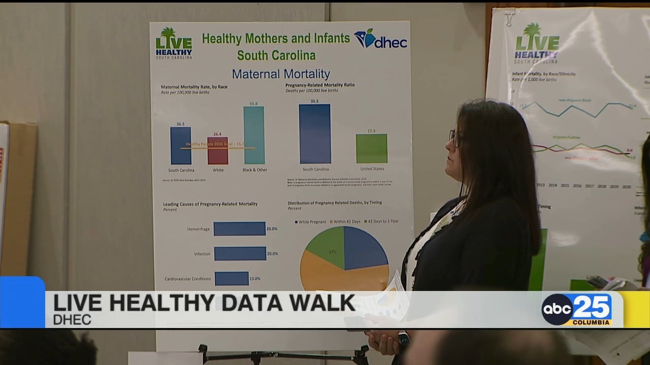 DHEC holds S.C. Live Healthy Data Walk - ABC Columbia