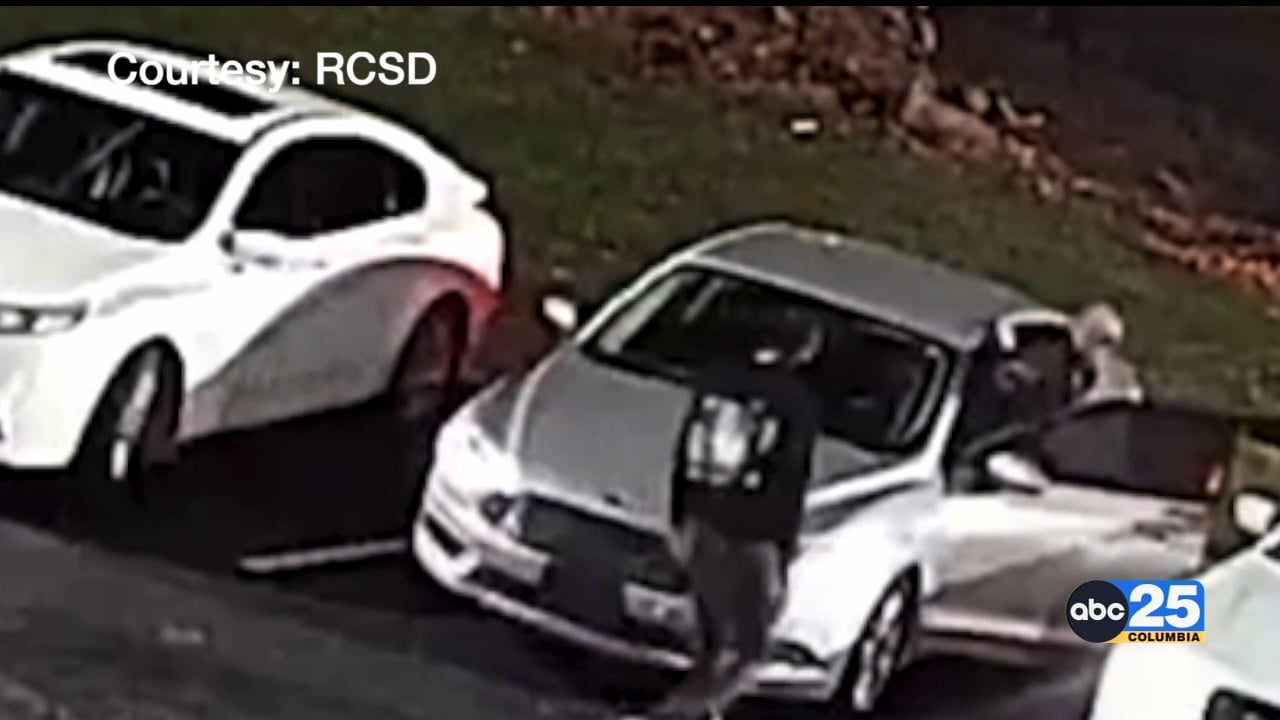 Arrest made for execution-style murder outside of club Rose Gold - ABC ...