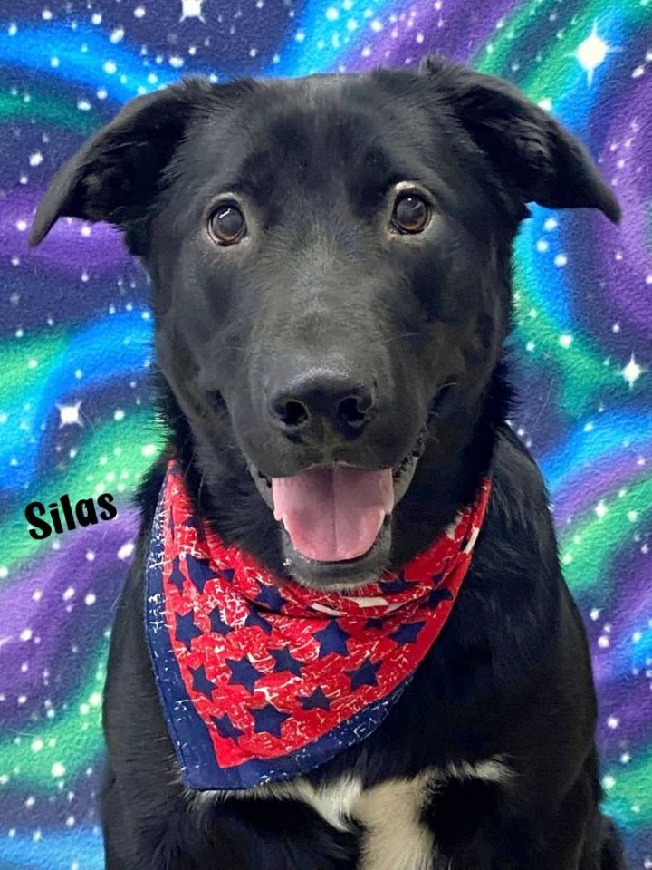 SILAS - ABC Columbia