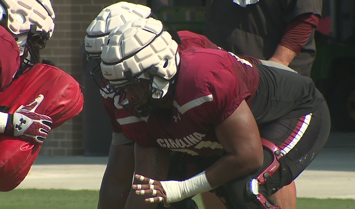 Lonnie Teasley Named Offensive Line Coach - ABC Columbia