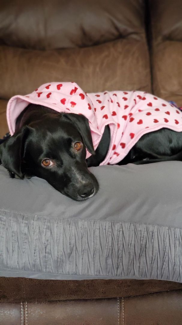 WEDNESDAY - ABC Columbia