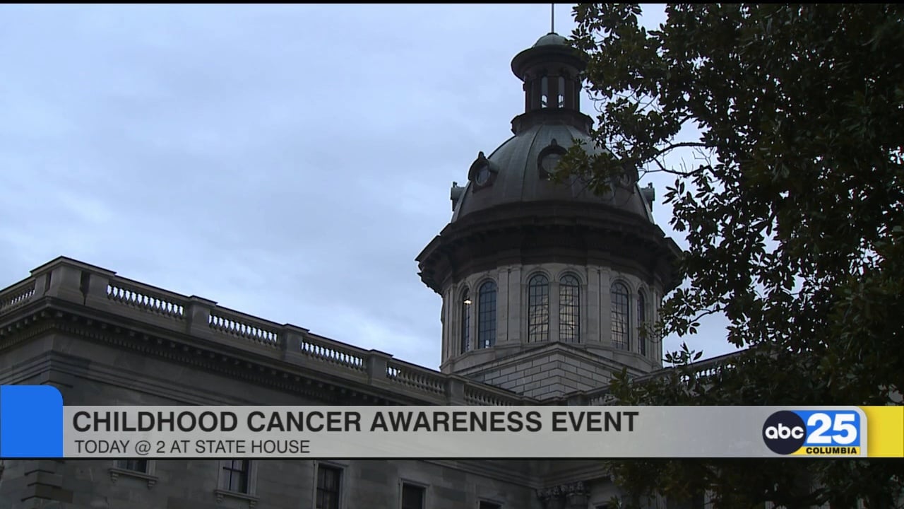 State House event to honor children battling cancer - ABC Columbia