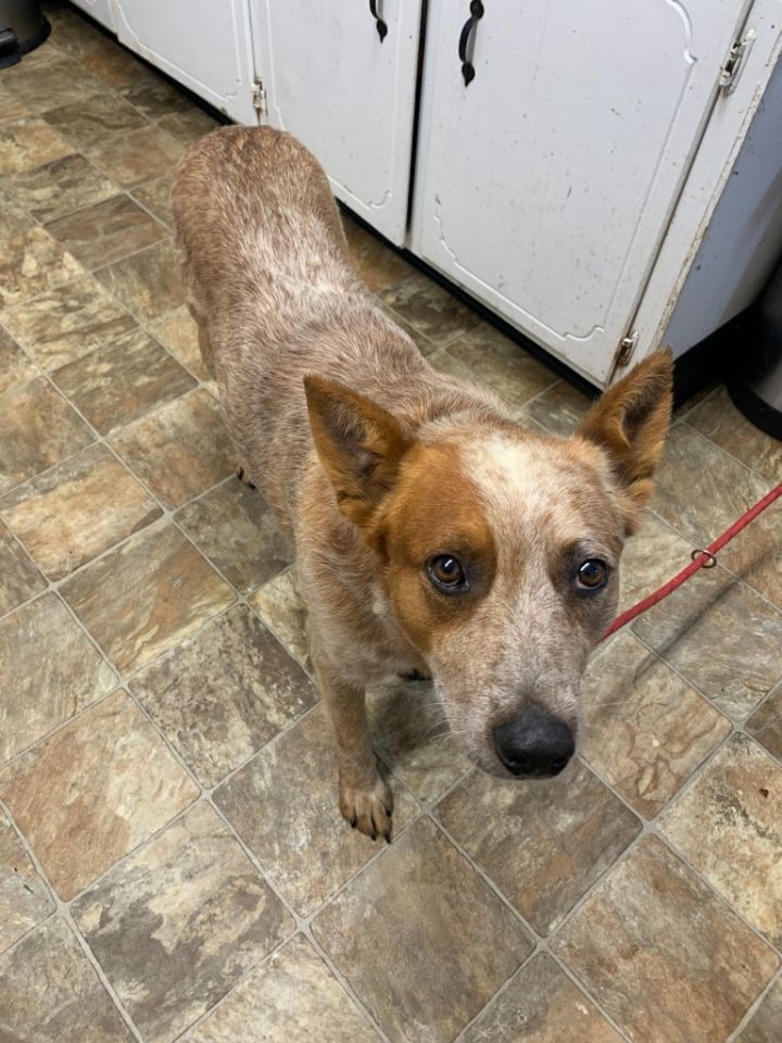 DUFFEE - ABC Columbia