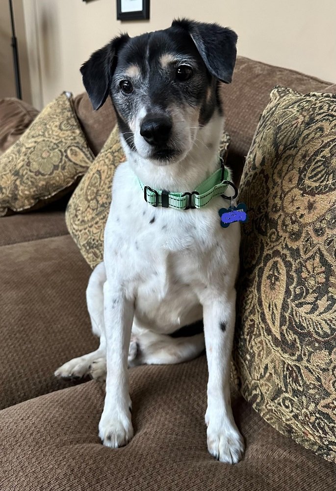 ROSCOE - ABC Columbia