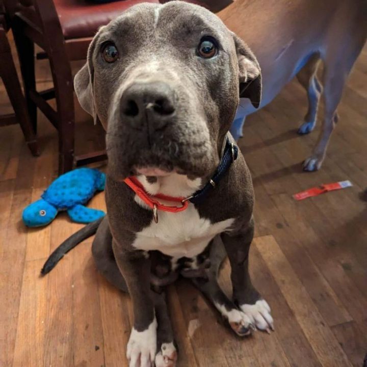 GLORIA - ABC Columbia