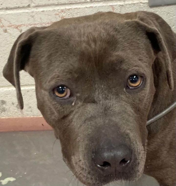 EMERIE - ABC Columbia