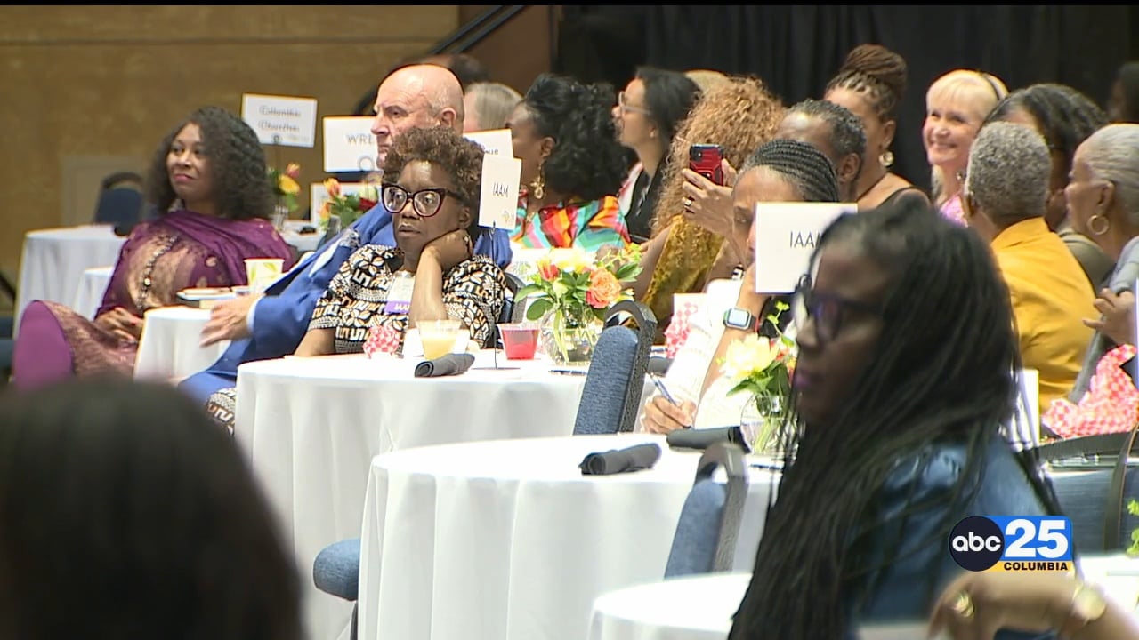 Africa American Museum officials honored with Riley Institute’s ...