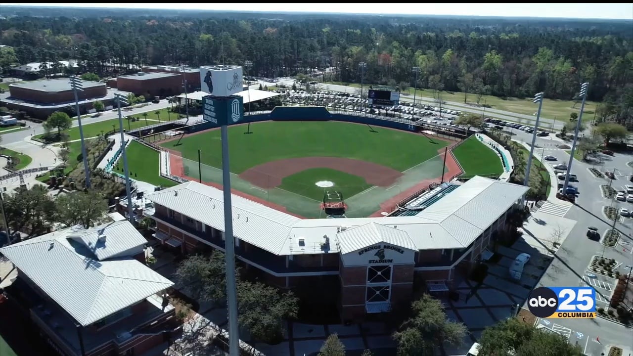 Baseball fans gear up for NCAA regionals in Columbia - ABC Columbia