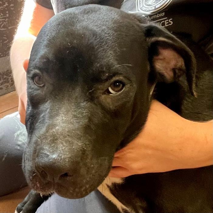 LARRY - ABC Columbia