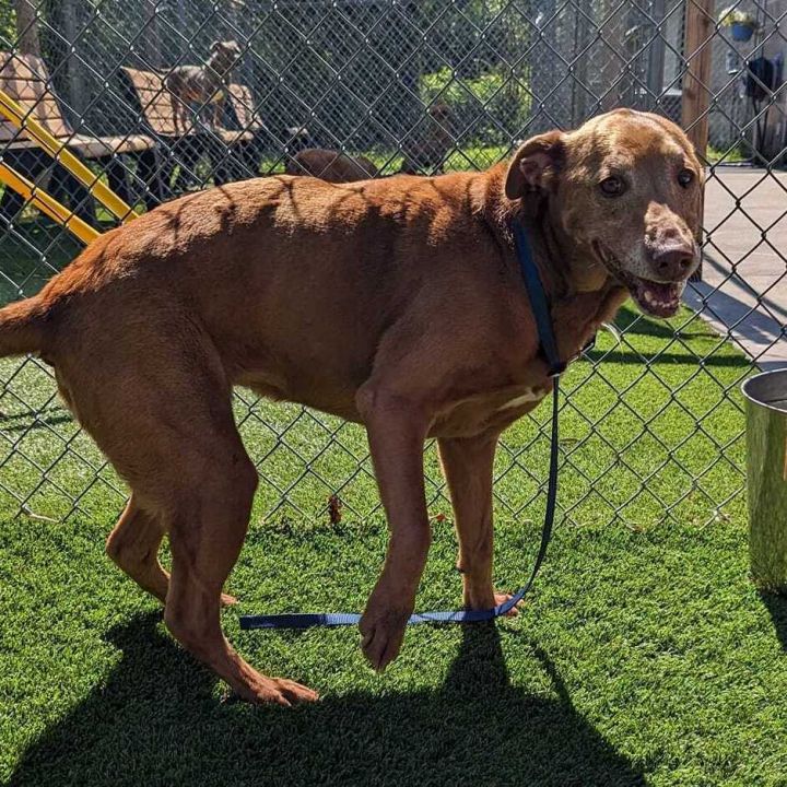 HERSHE - ABC Columbia