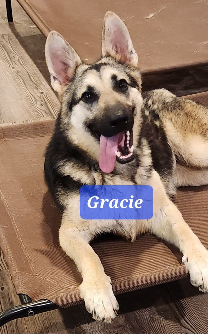 GRACIE - ABC Columbia
