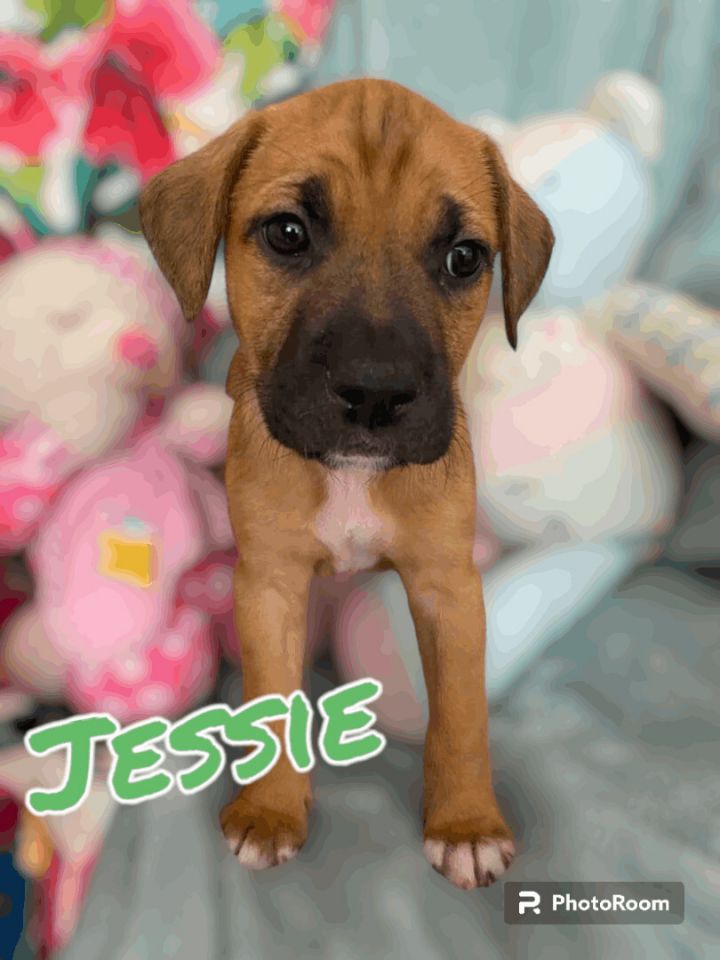 JESSIE - ABC Columbia