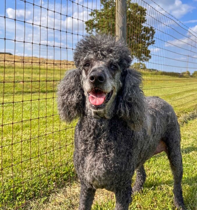 HEIDI MAY - ABC Columbia