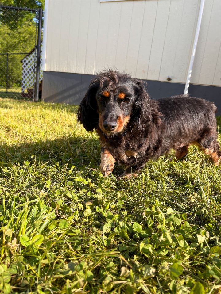 DREAM - ABC Columbia