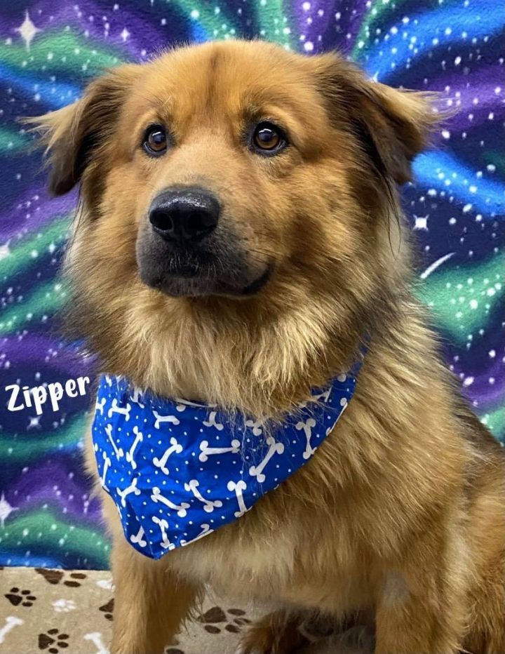 ZIPPER - ABC Columbia