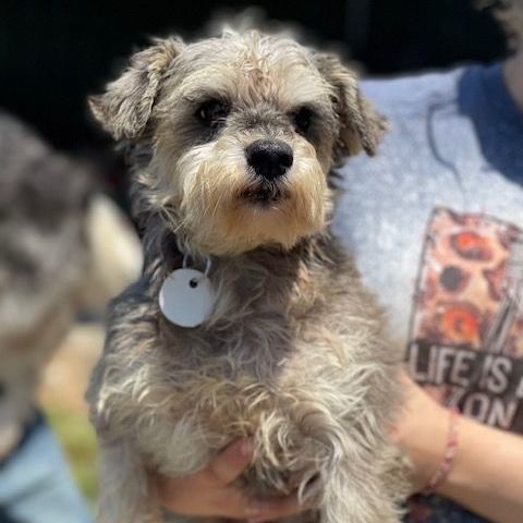 SMOKEY'S JAMIE - ABC Columbia