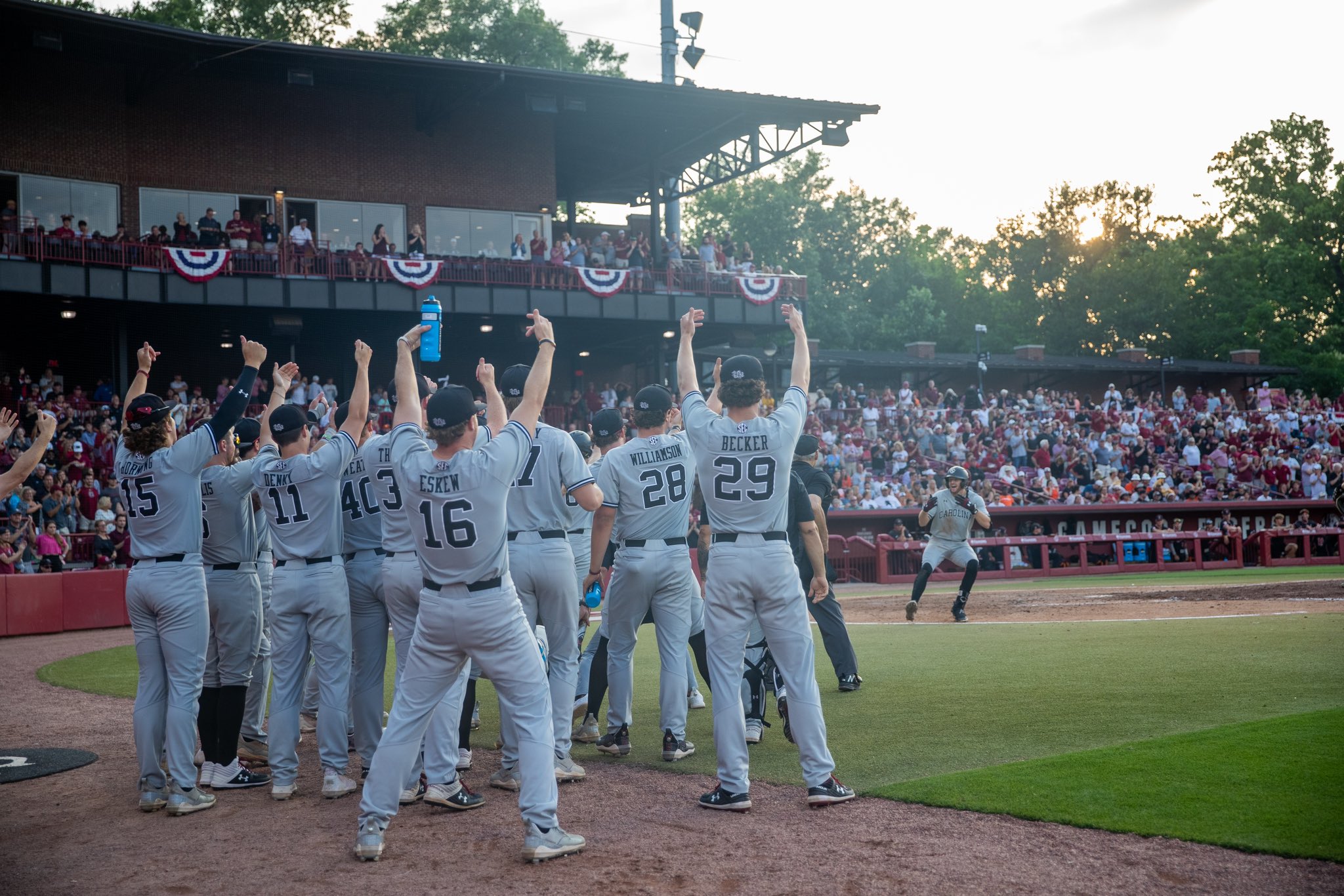 Gamecocks win regional championship, 16-7 over Campbell - ABC Columbia