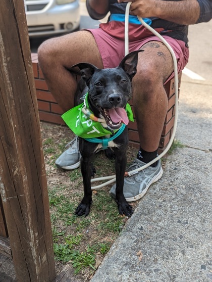 SCOOBER - ABC Columbia