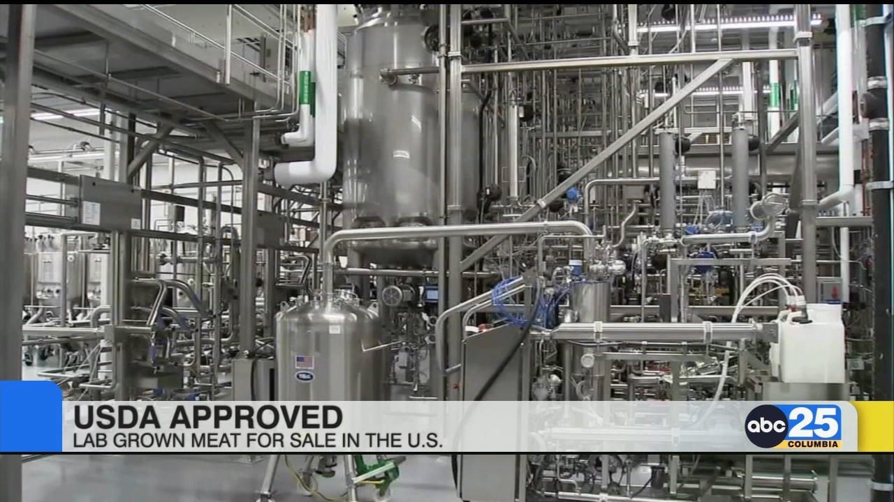 USDA approved lab grown meat for sale in the U.S. - ABC Columbia