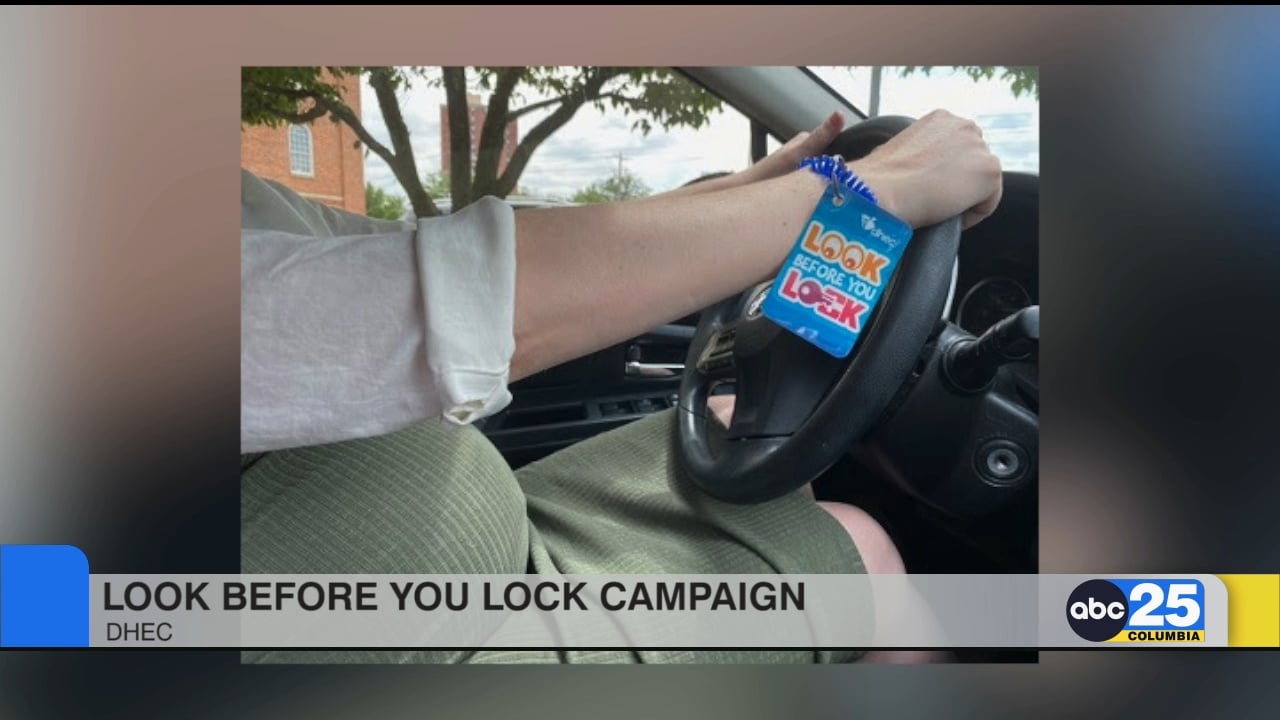 DHEC offers tags for parents, caregivers to prevent hot car deaths ...