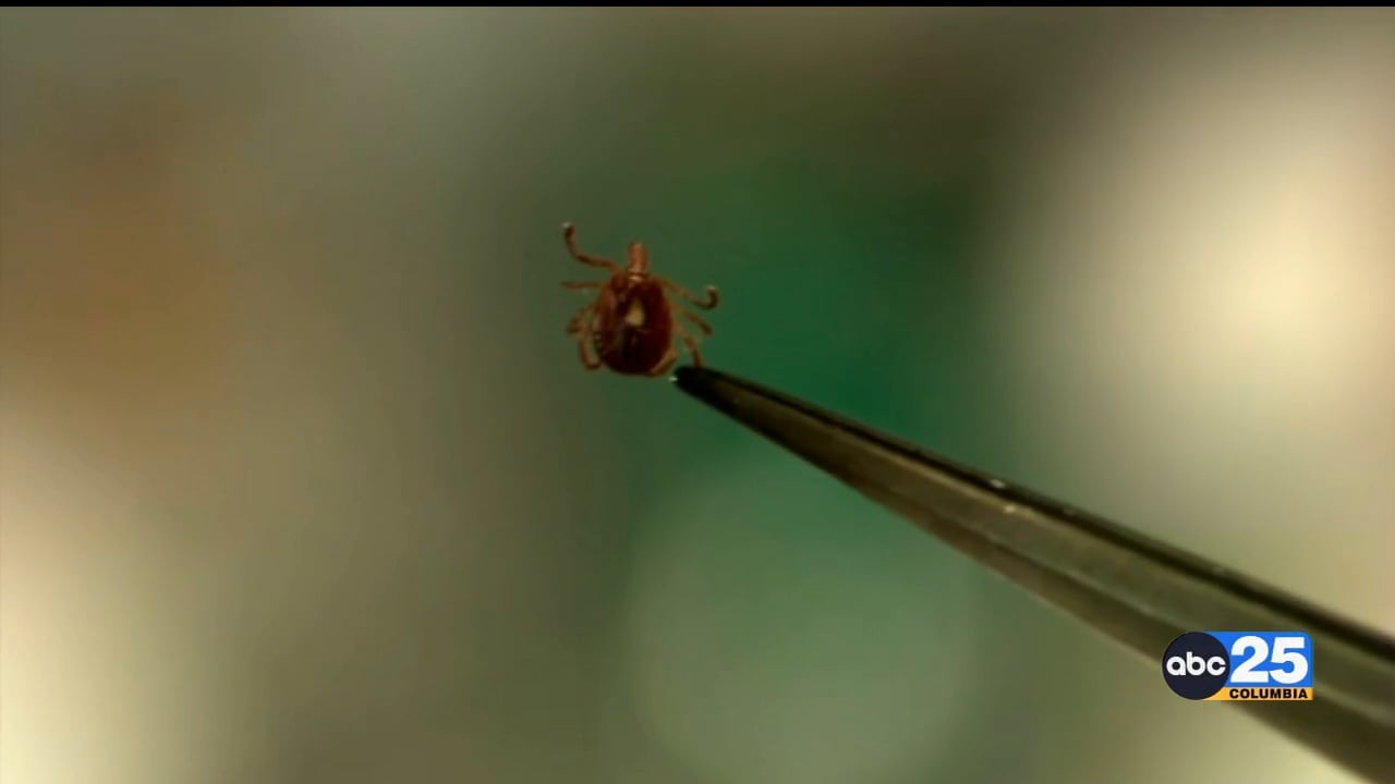 Tick population increases - ABC Columbia