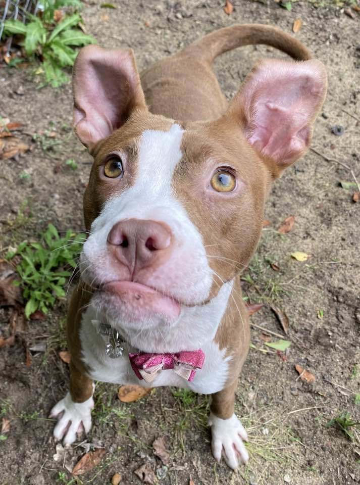 SASSY - ABC Columbia