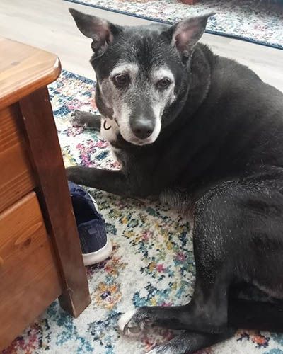 COOPER - ABC Columbia