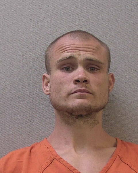 SHEALY, BRANDON WESLEY - ABC Columbia