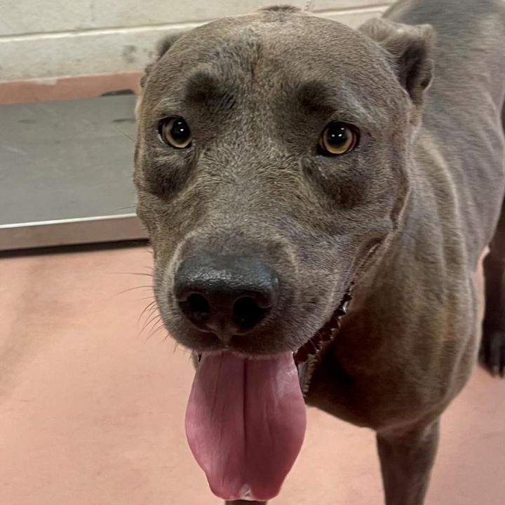 SOUTH - ABC Columbia