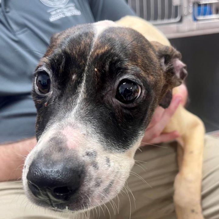 SUNNY - ABC Columbia