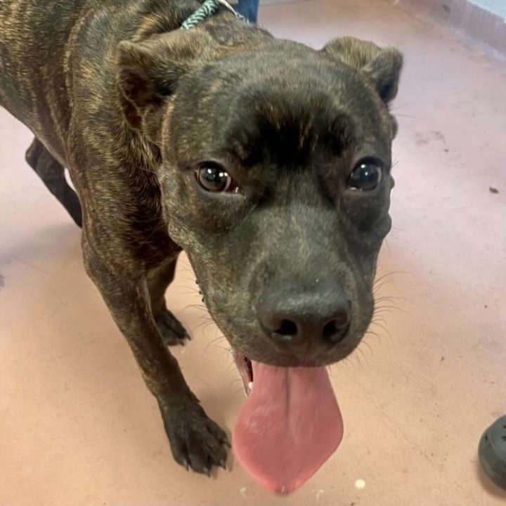 MERLIN - ABC Columbia