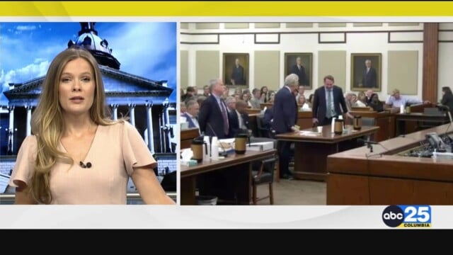 murdaugh - ABC Columbia