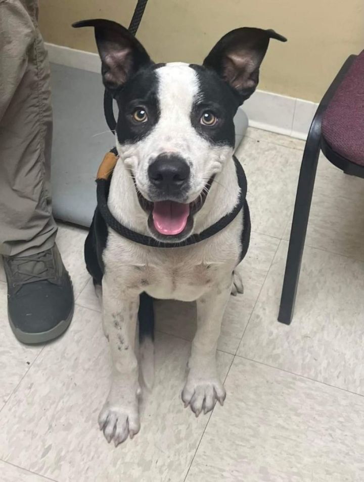 RECESS - ABC Columbia