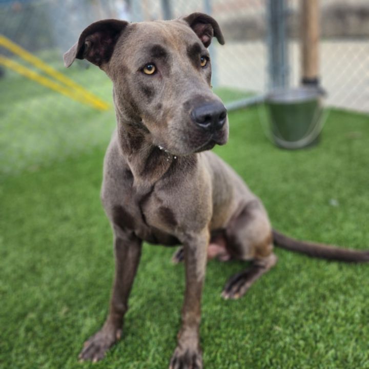 SOUTH - ABC Columbia